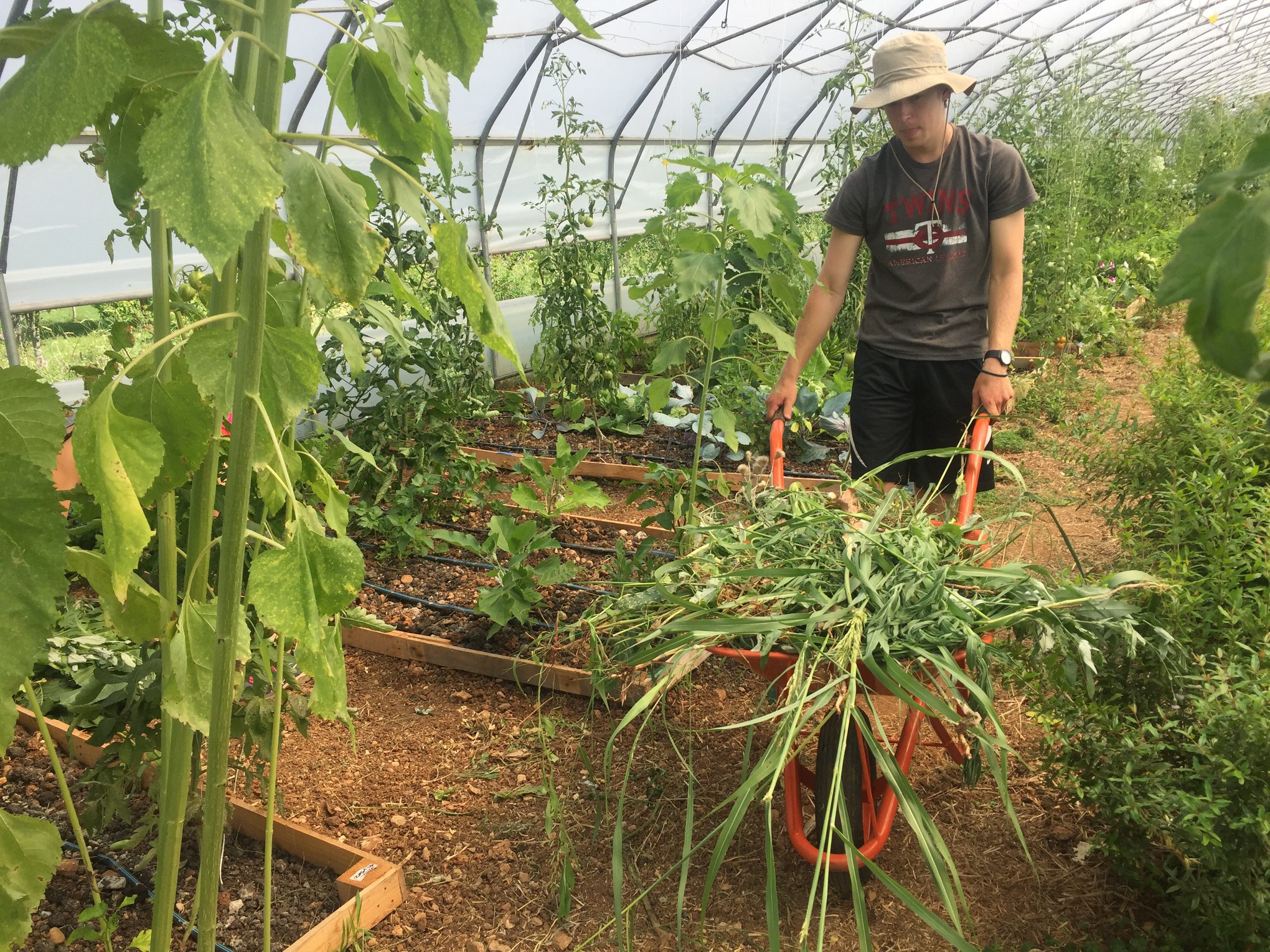 Naša Farma - UG "NEŠTO VIŠE"